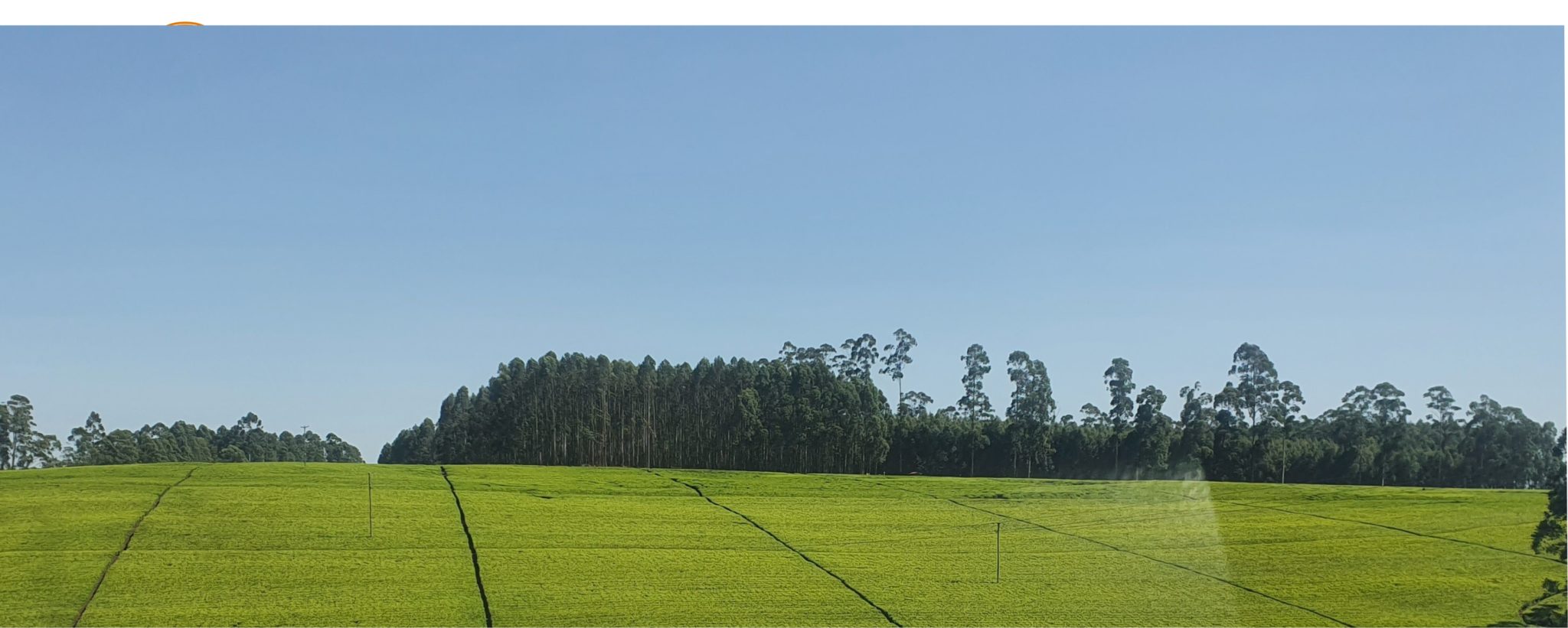 Our Projects - Amiran Kenya