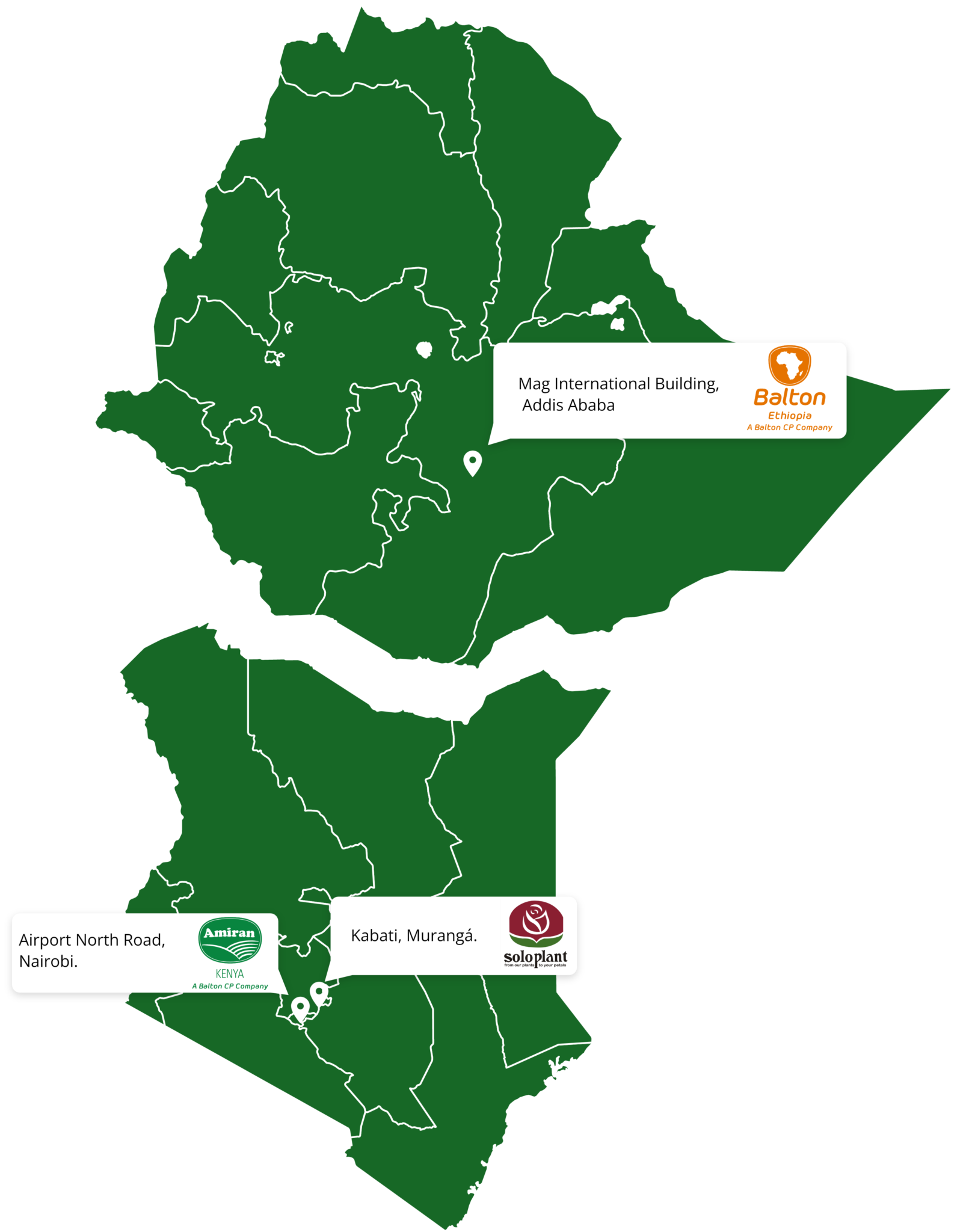 Our Story - Amiran Kenya
