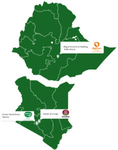 Our Story - Amiran Kenya