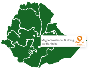 Our Story - Amiran Kenya