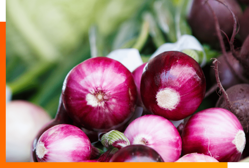 Seeds - Dizengoff Ghana