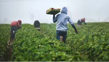 Our Training - Dizengoff Ghana