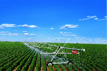 Irrigation - Dizengoff Ghana