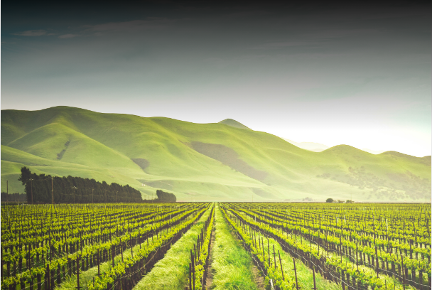 Our Story - Dizengoff Ghana