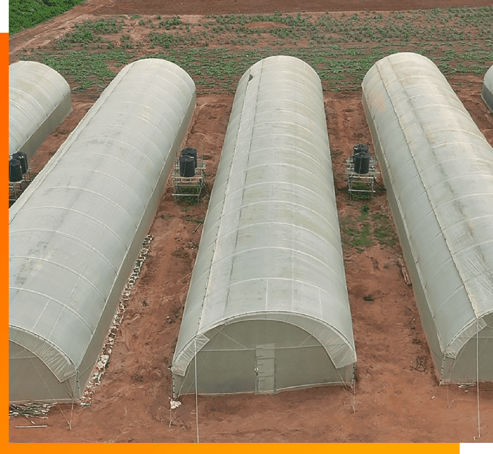 Greenhouse - Dizengoff Nigeria