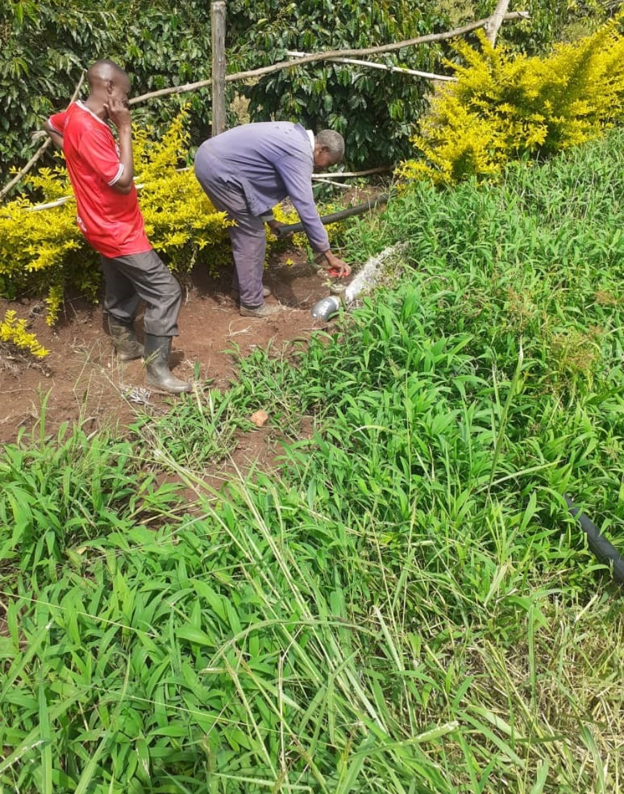 Agri Projects - Balton Tanzania